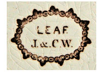 Shelley Study - Backstamps